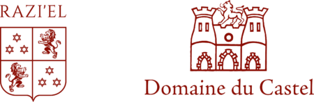 HOME - Domaine Du Castel